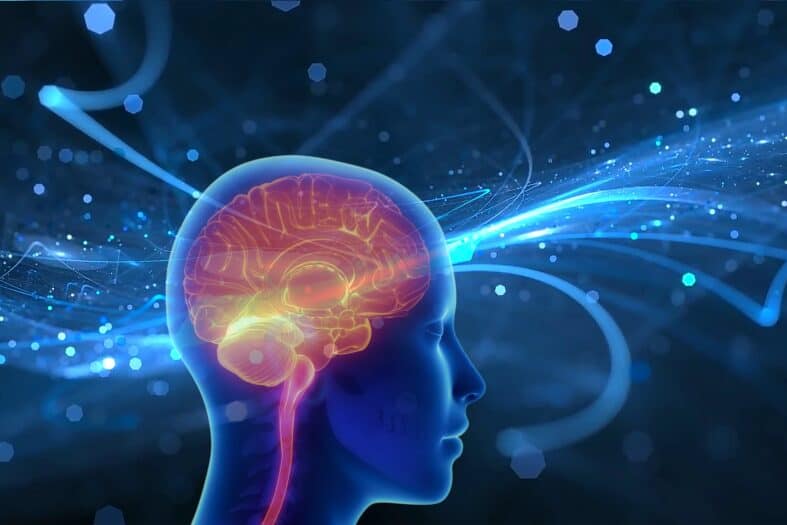 Ensure Acti M2 Powder Benefits: The Best Supplement For Brain Power